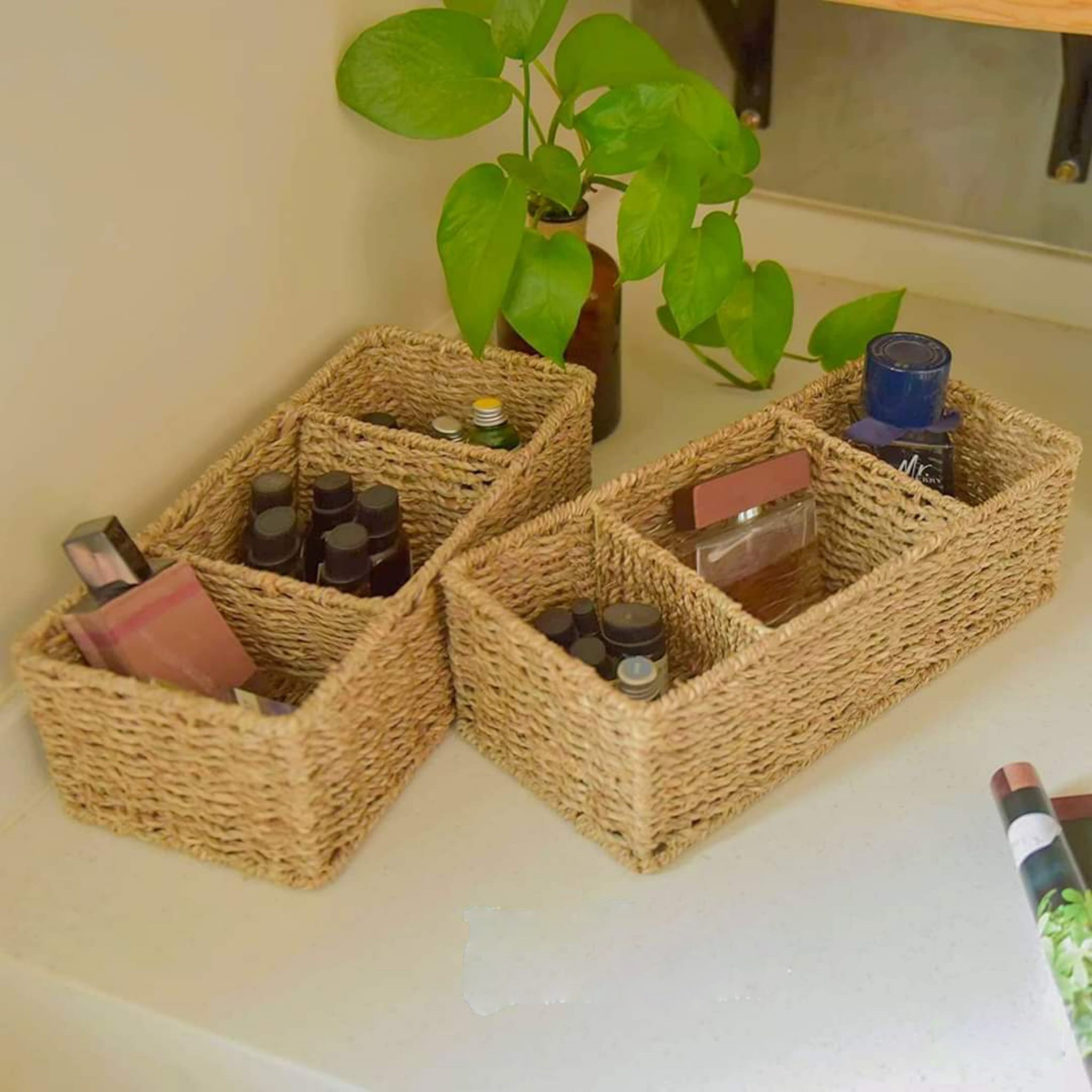 Seagrass Part Holder | RES Eco Craft